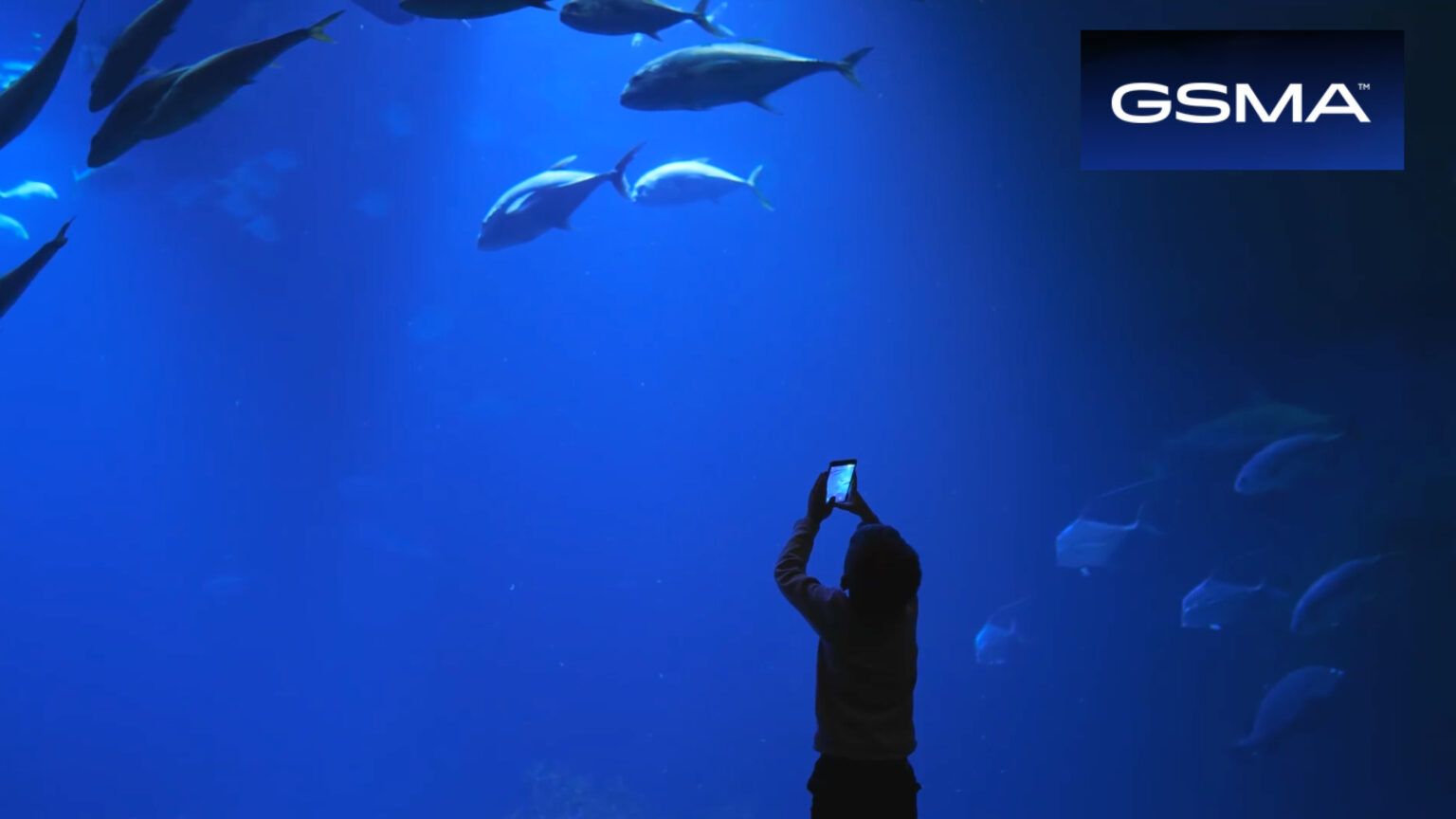 Mobile Satellite Services Association (MSSA) enters strategic ...